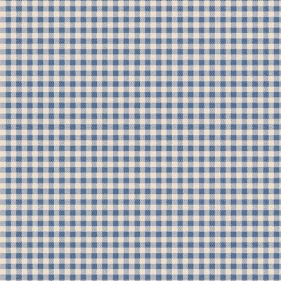 Creating Memories- Woven Gingham Blue