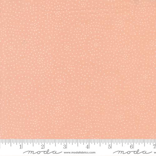 Quaint Cottage-Circle Time Dots Rose