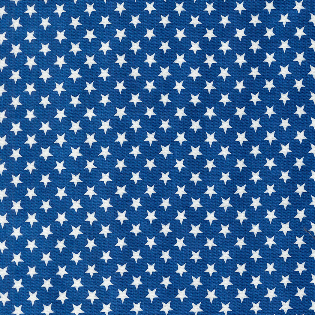 Red White Bloom Midnight Blue